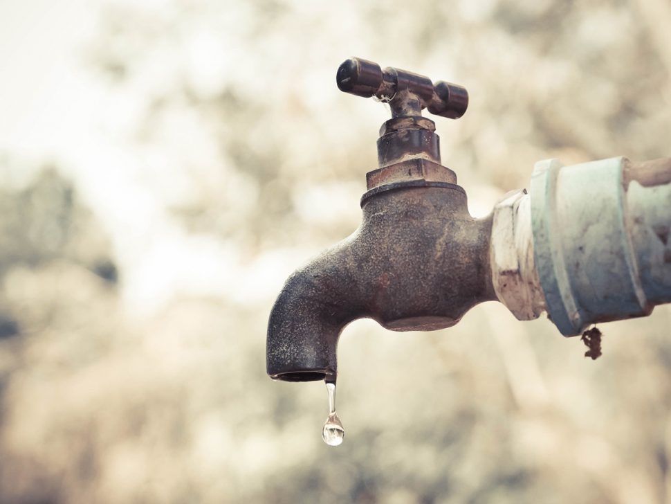 4 of the Best Drought Management Practices for Saving Water